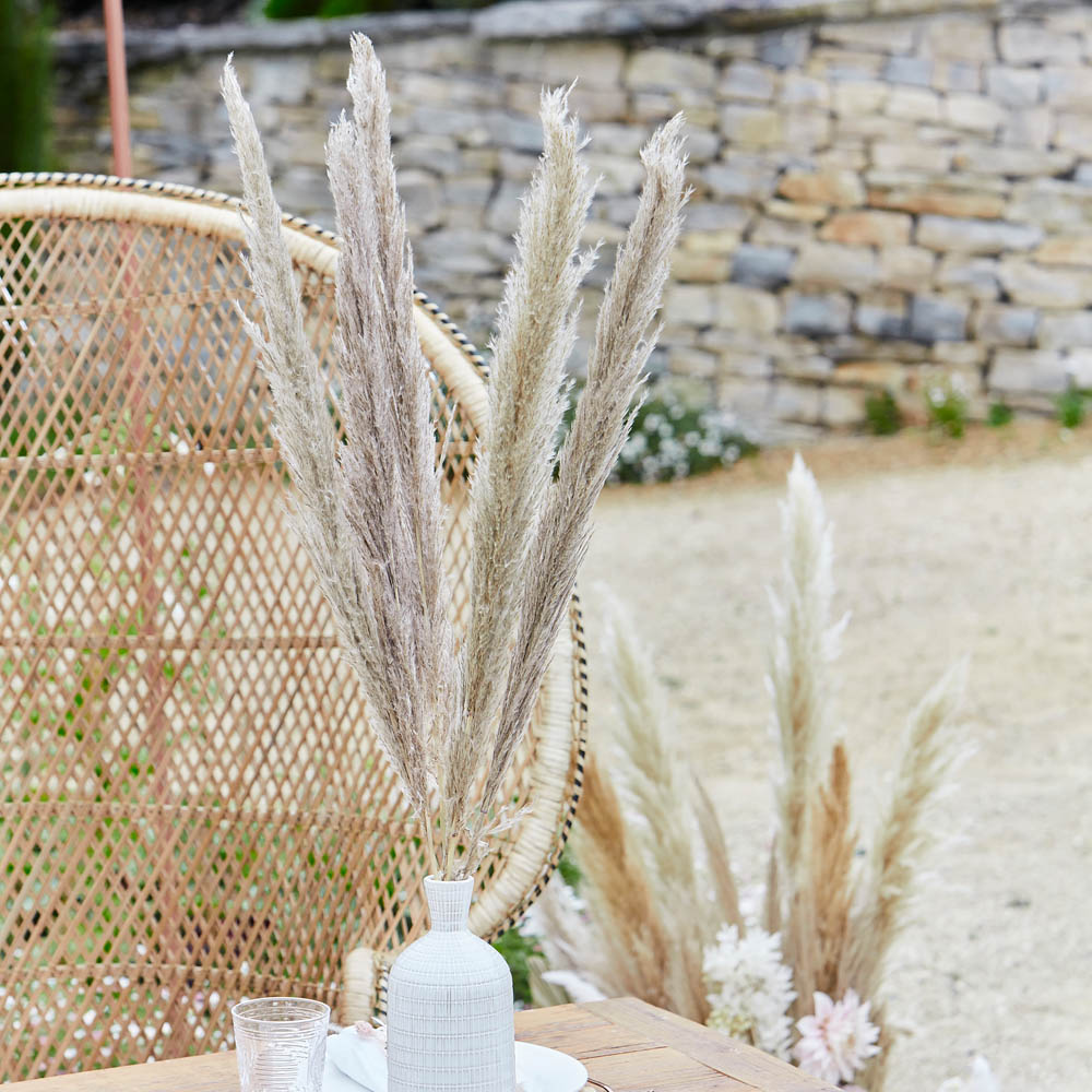 Natural Pampas Grass Decorations x5 Decorations Party Pieces